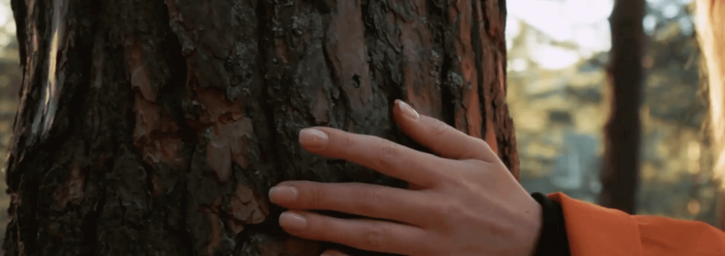 Sustainability post-covid: Build a better world with Marley